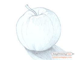 How to Draw an Apple Tutorial Step by Step - EasyDrawingTips