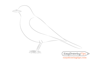 How to Draw a Bird Step by Step Side View - EasyDrawingTips