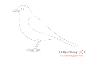 How to Draw a Bird Step by Step Side View - EasyDrawingTips