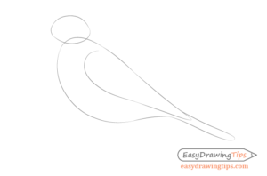 How to Draw a Bird Step by Step Side View - EasyDrawingTips