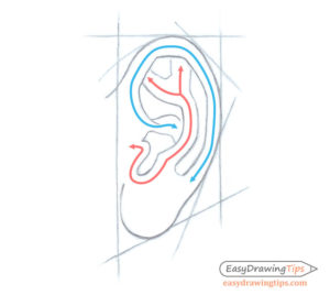 How to Draw an Ear Step by Step - Side View