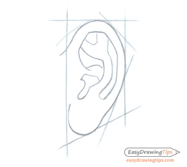 How to Draw an Ear Step by Step - Side View