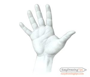 How to Draw a Hand Step by Step Tutorial - EasyDrawingTips