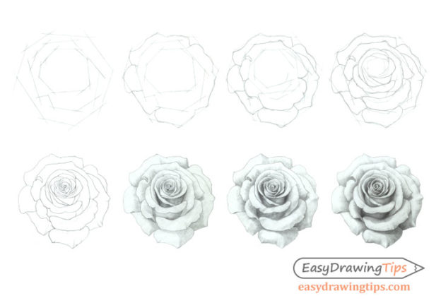 how to draw 3d rose step by step - Geist Frivaloys