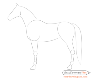 Side View Horse Head Drawing - Foshee Whadrect