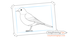 Beginner Guide to Learning to Draw - EasyDrawingTips