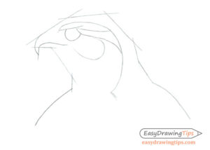 How to Draw a Realistic Hawk's Head Step by Step - EasyDrawingTips