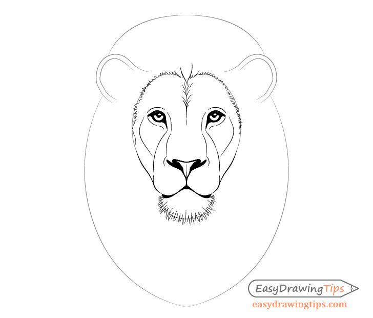 How To Draw Lion Face Head Step By Step EasyDrawingTips