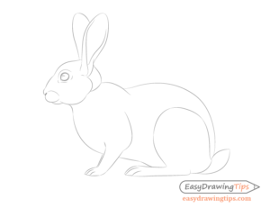 How to Draw a Rabbit Step by Step Tutorial - EasyDrawingTips