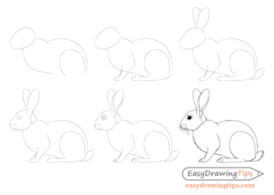 How to Draw a Rabbit Step by Step Tutorial - EasyDrawingTips