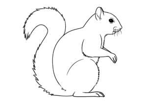 Easy Drawing Tutorials for Beginner & Intermediate Artists