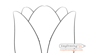 Easy Tulip Drawing Step by Step - EasyDrawingTips
