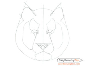 How to Draw a Tiger Face & Head Step by Step - EasyDrawingTips