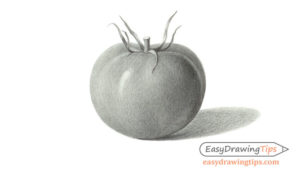 How to Draw a Tomato Step by Step - EasyDrawingTips