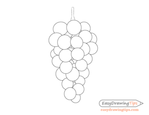 How to Draw Grapes Step by Step Tutorial - EasyDrawingTips
