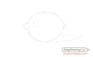 how to draw 3d lemons - Barnett Tennesers