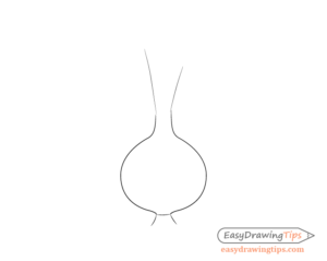 How to Draw an Onion Step by Step Tutorial - EasyDrawingTips