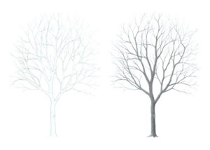 Easy Drawing Tutorials for Beginner & Intermediate Artists