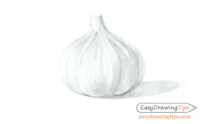 How to Draw Garlic Step by Step Tutorial - EasyDrawingTips
