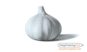 How to Draw Garlic Step by Step Tutorial - EasyDrawingTips