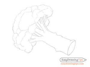 How to Draw Broccoli Step by Step - EasyDrawingTips
