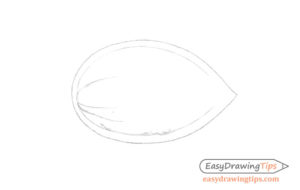 How to Draw Nuts Step by Step - EasyDrawingTips