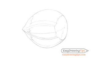 How to Draw Nuts Step by Step - EasyDrawingTips
