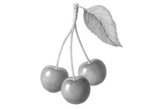 Easy Drawing Tutorials for Beginner & Intermediate Artists