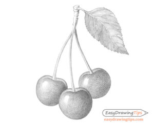How to Draw Cherries Step by Step - EasyDrawingTips