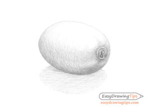 How to Draw a Kiwi Step by Step - EasyDrawingTips