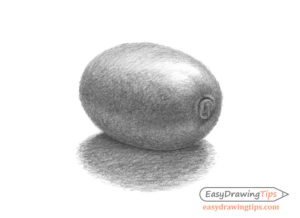 How to Draw a Kiwi Step by Step - EasyDrawingTips