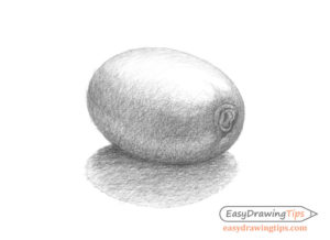 How to Draw a Kiwi Step by Step - EasyDrawingTips