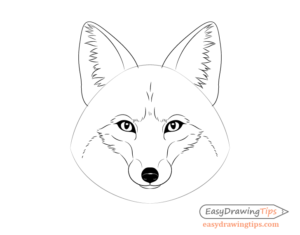How to Draw a Fox Step by Step - EasyDrawingTips