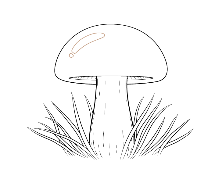 Fungi Drawing