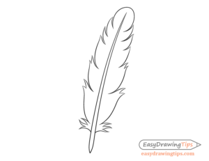 How to Draw a Feather Step by Step - EasyDrawingTips