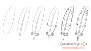 How to Draw a Feather Step by Step - EasyDrawingTips