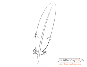 How to Draw a Feather Step by Step - EasyDrawingTips